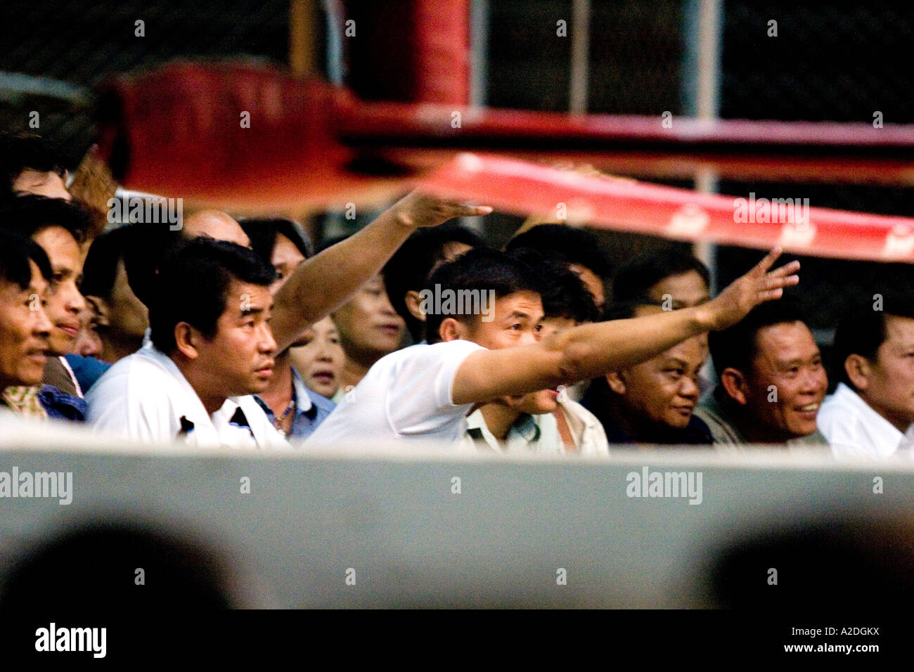 Thai arms hi-res stock photography and images - Alamy