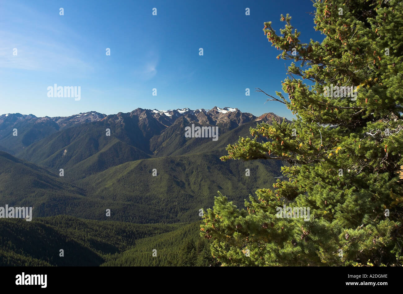 Mt olympus washington hi-res stock photography and images - Alamy
