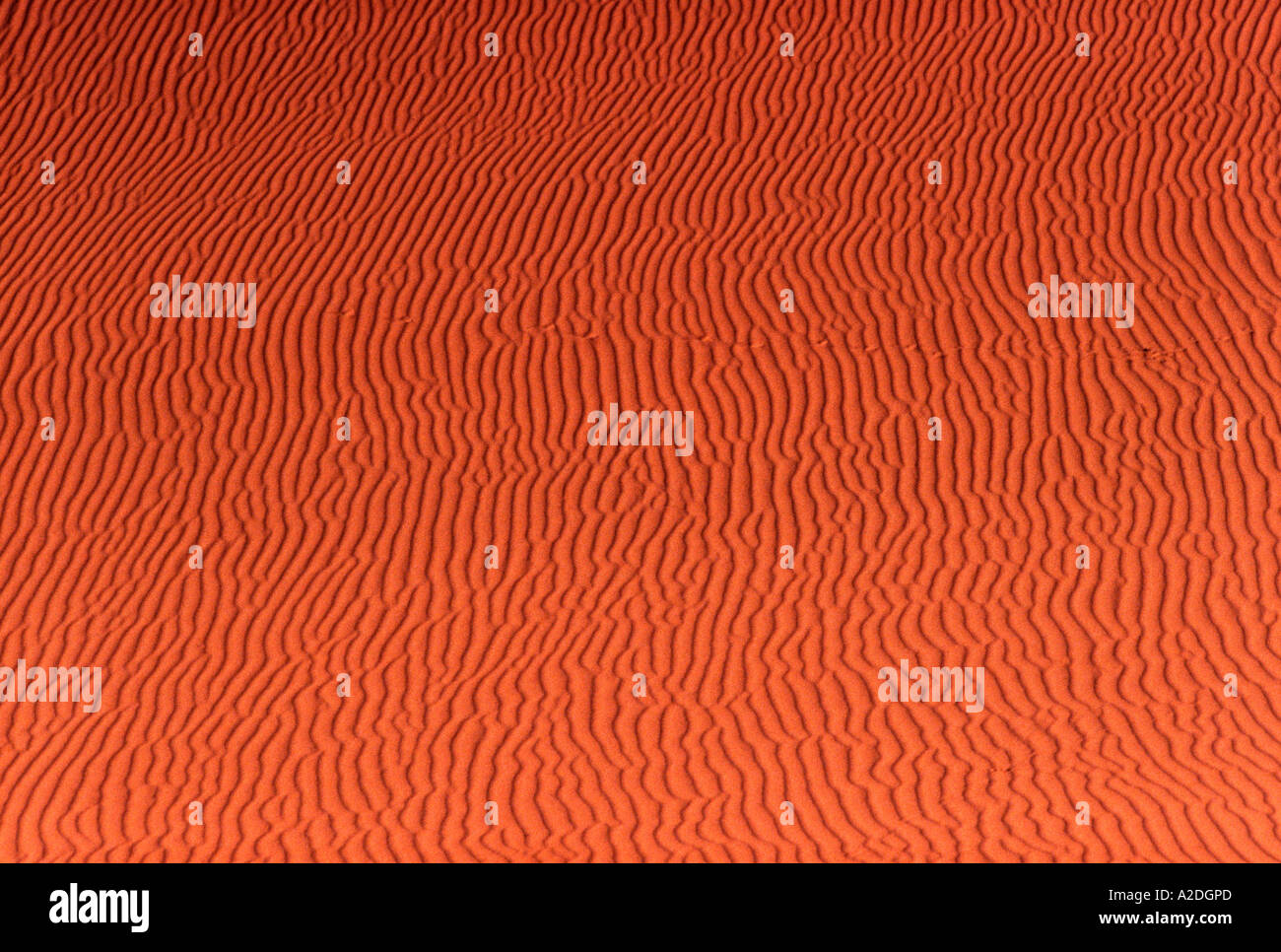 Wind creates wave pattern in the sand, Sahara desert, Morocco Stock ...
