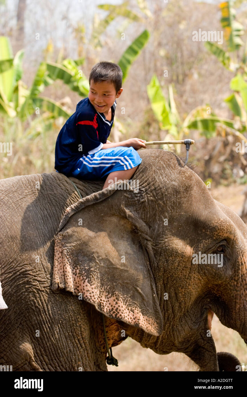 Boy riding elephant hi-res stock photography and images - Alamy