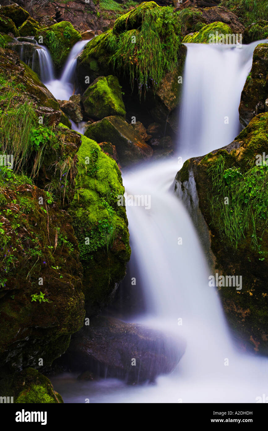 Waterfalls Meme