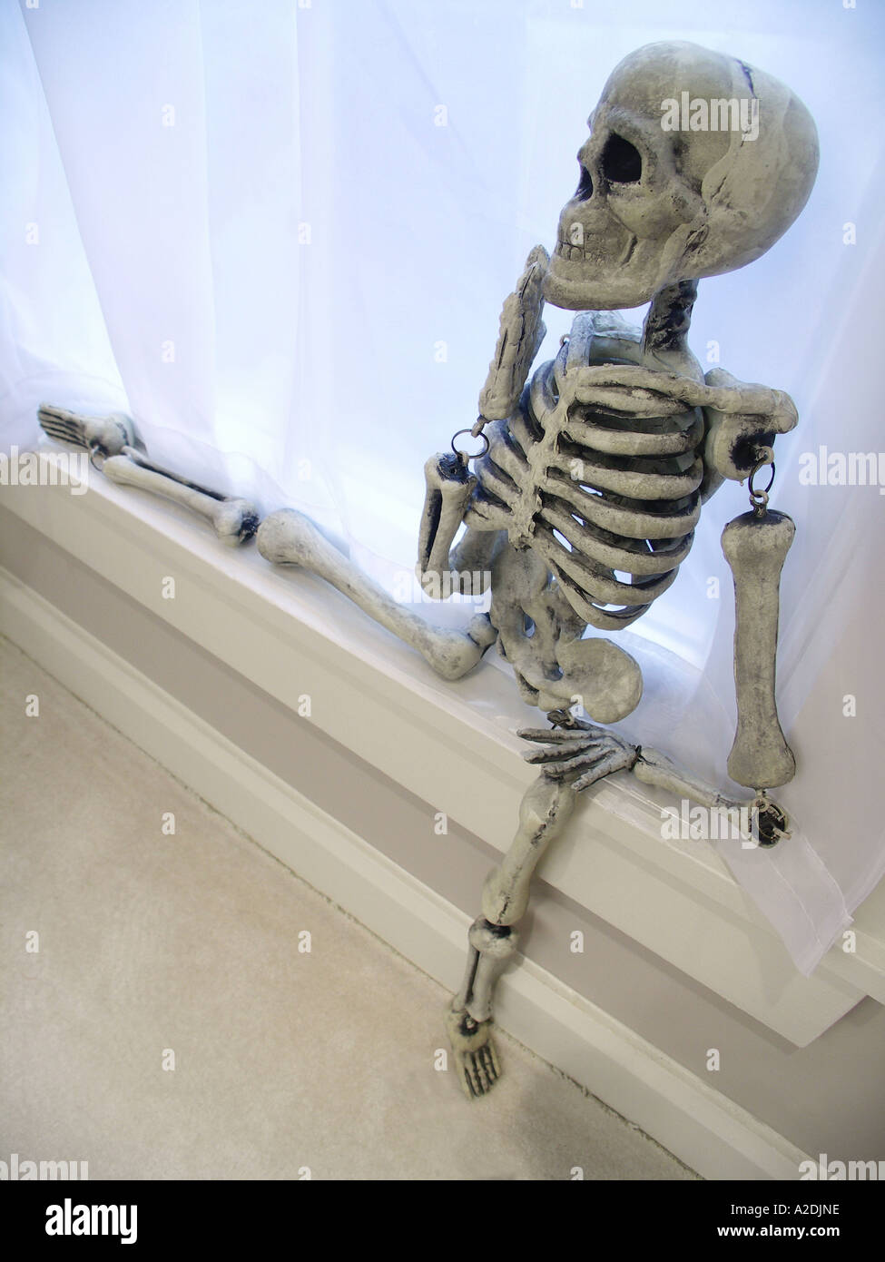 Skeleton Sitting on Windowsill Stock Photo - Alamy