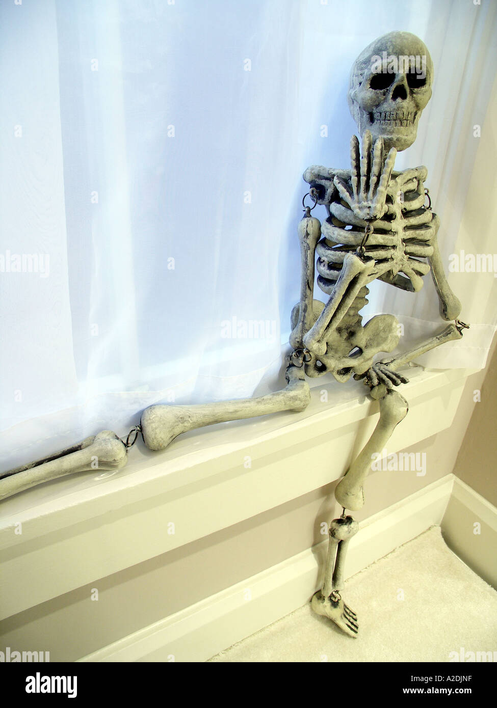 Skeleton Sitting on Windowsill Stock Photo - Alamy