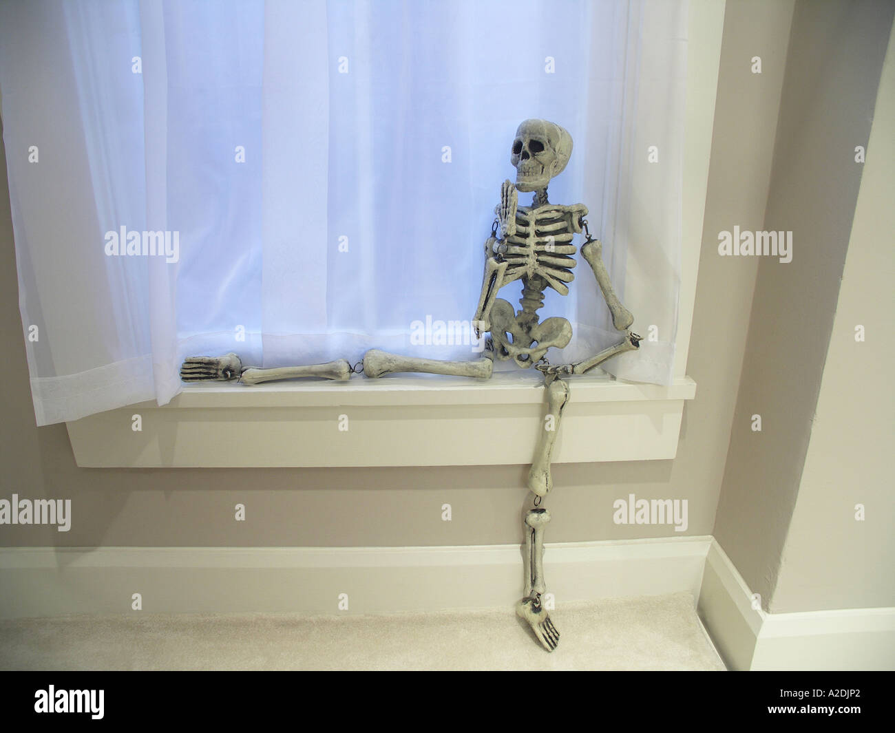 Skeleton Sitting on Windowsill Stock Photo - Alamy