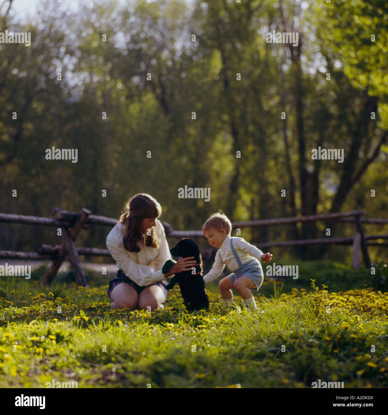 Mother and son playing with a puppy in a woodsy setting Stock Photo - Alamy