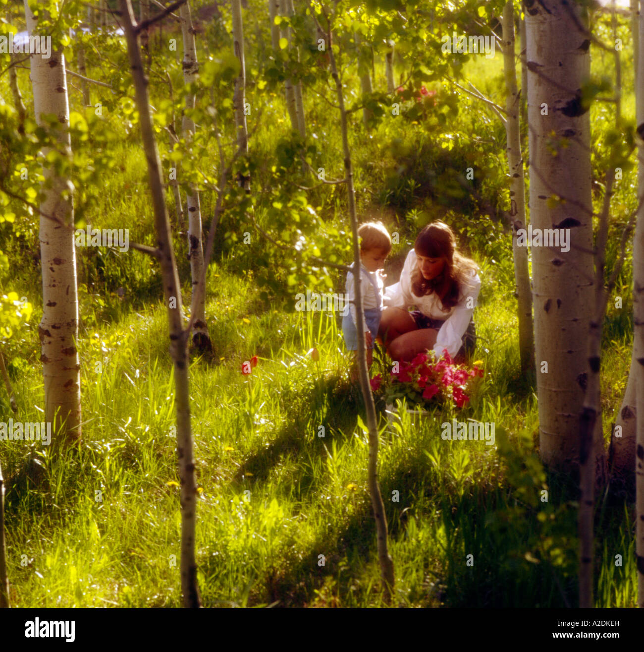Mother and toddler son playing outdoors in a woodsy setting Stock Photo ...
