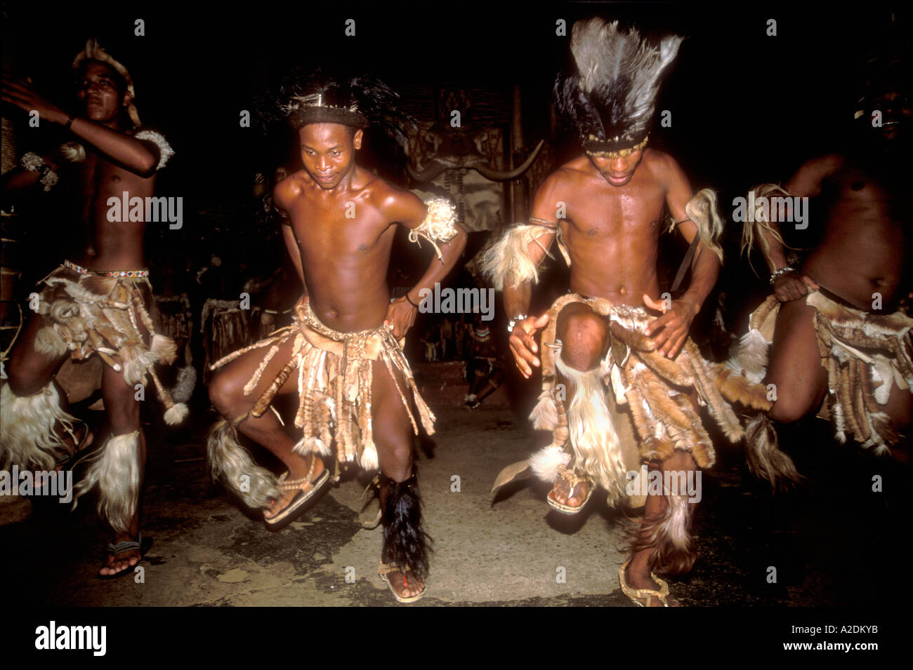 Shakaland hi-res stock photography and images - Alamy