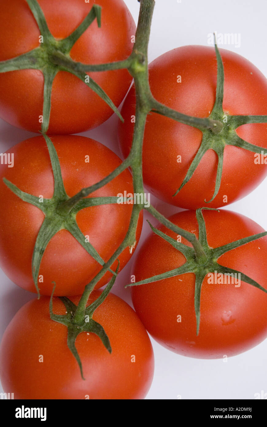Truss tomatoes from a supermarket Stock Photo - Alamy