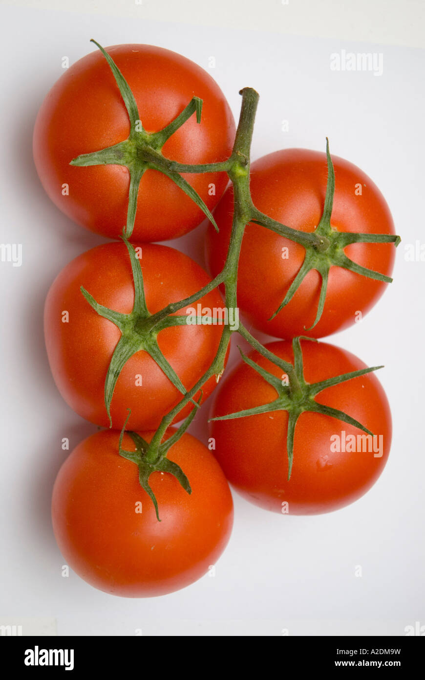 Truss tomatoes from a supermarket Stock Photo - Alamy
