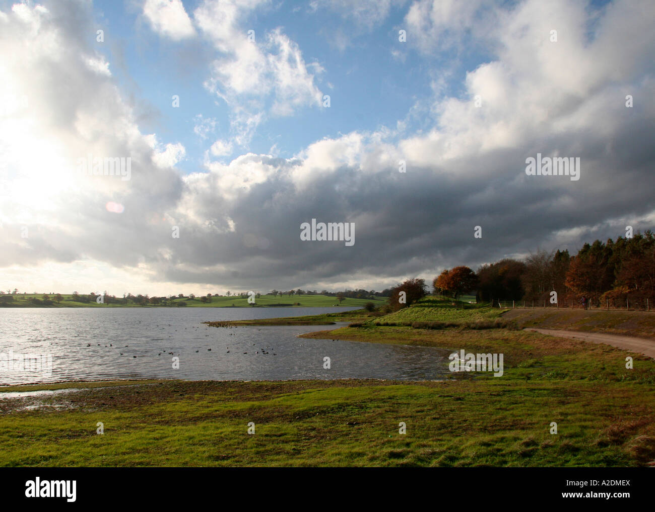 Blithfield reservoir staffordshire hi-res stock photography and images ...