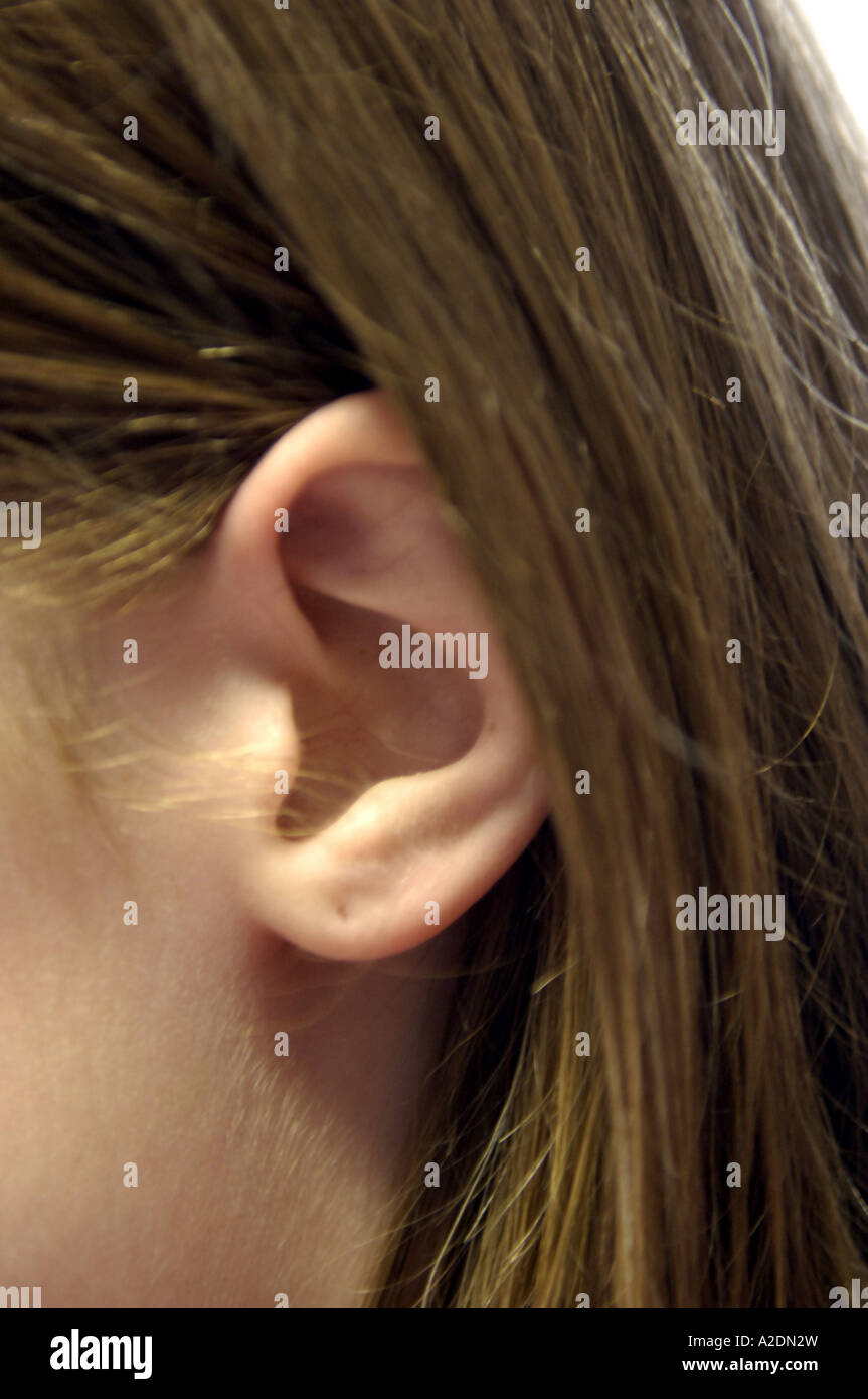 EAR female kid child caucasian vertical colour color girl Stock Photo ...