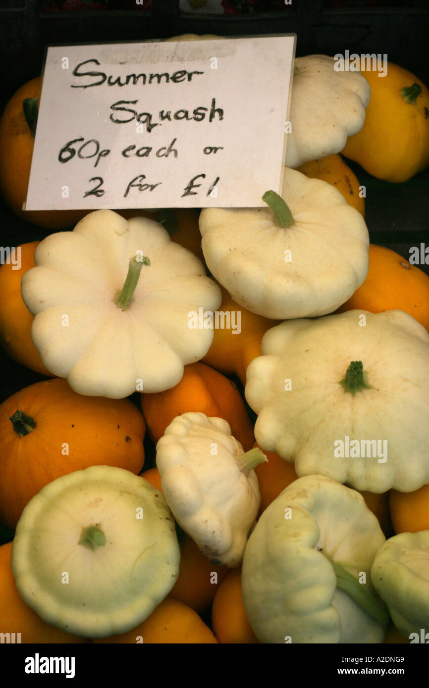 Goachers Farm Pattipan squash Pattison Blanc Patty Pan A saucer shaped ...