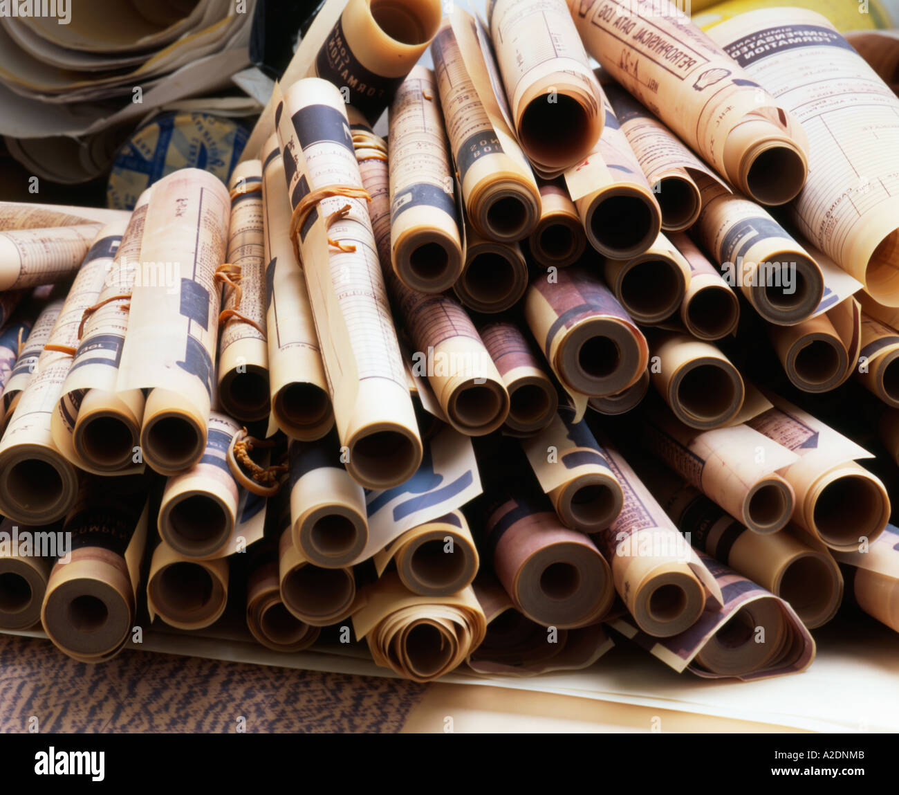 student, history, academia, academic, study, blueprint, scrolls ...