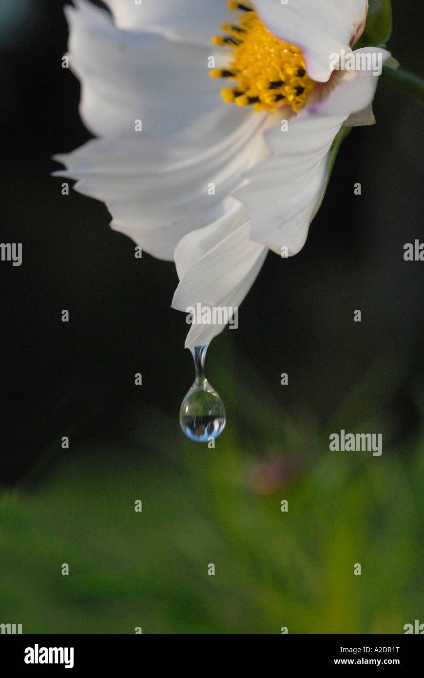 7457 hi-res stock photography and images - Alamy