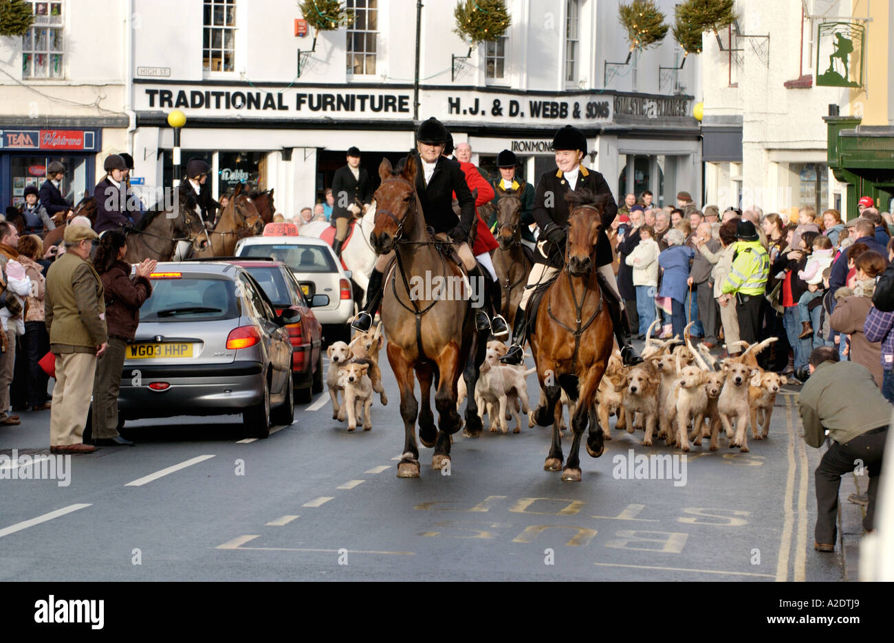 Welsh foxhound hi-res stock photography and images - Alamy