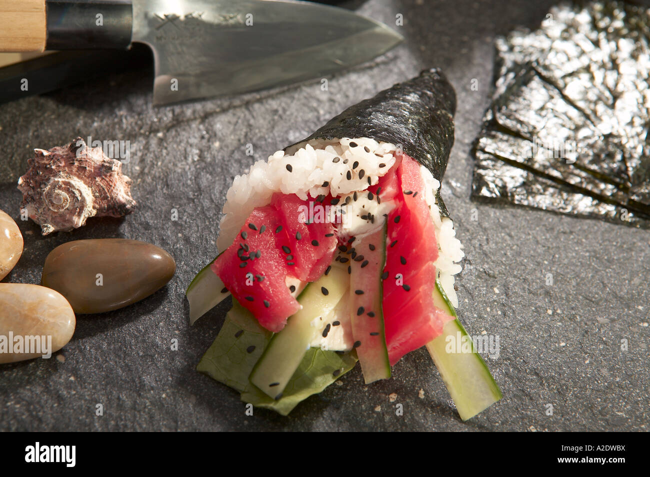 Cone shell fish hi-res stock photography and images - Alamy