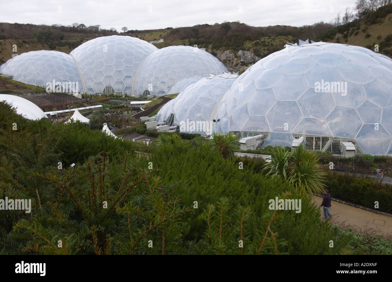 The domes of the Eden Project, Cornwall, England Stock Photo - Alamy