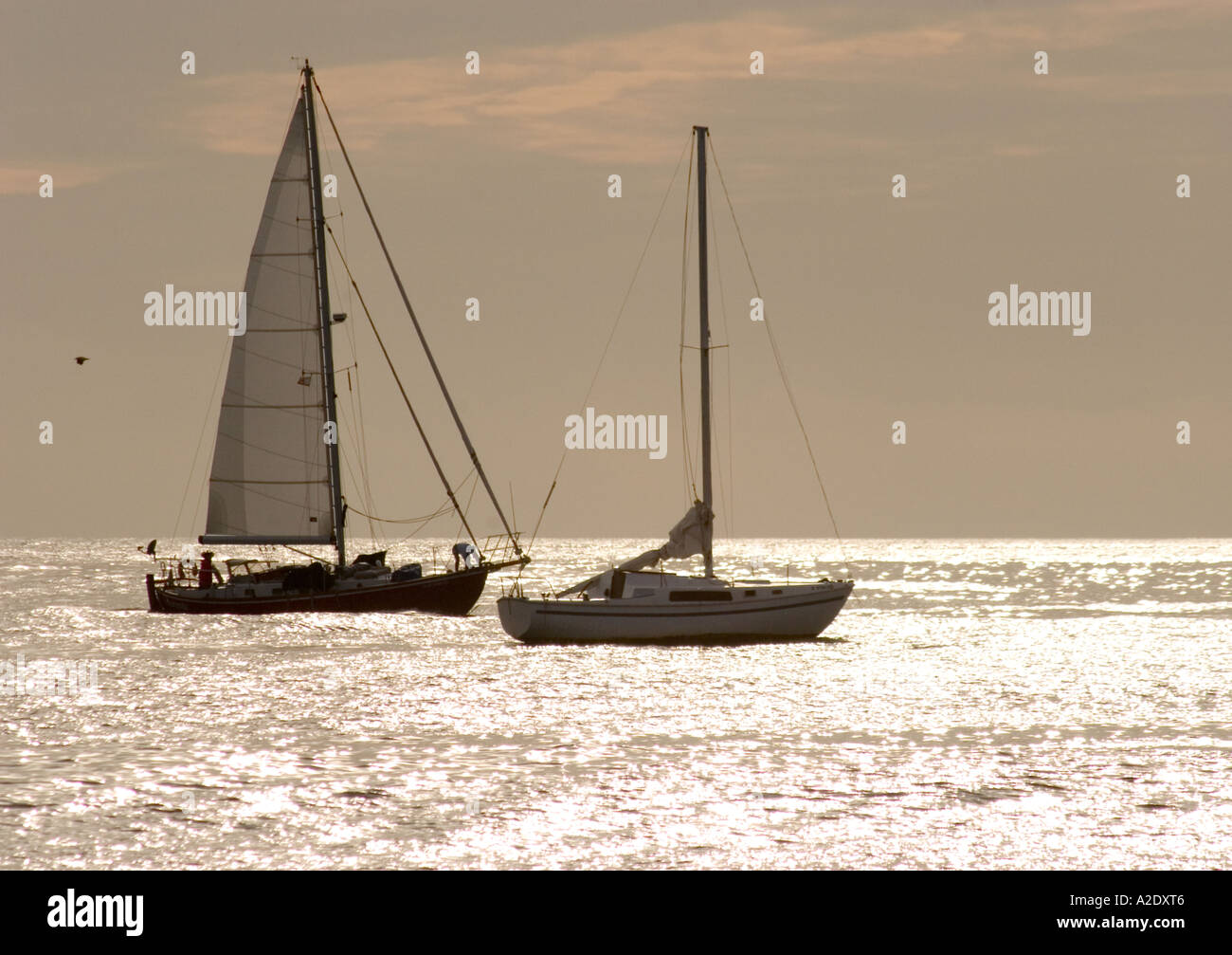 Two sail boats off Dockweiler Beach State Park in Playa Del Rey ...