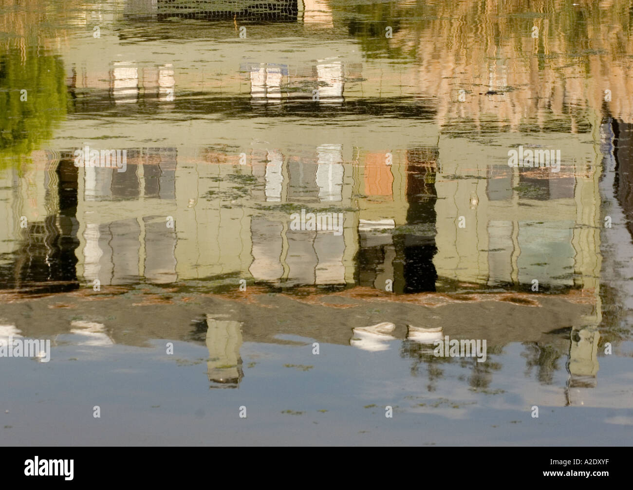 Del rey lagoon park hi-res stock photography and images - Alamy