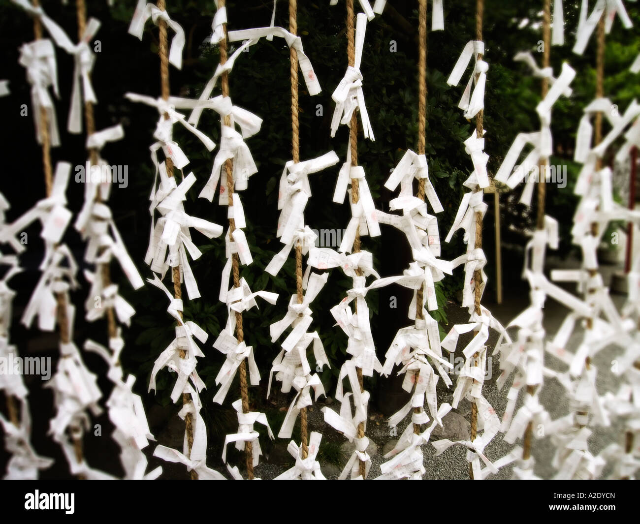 Prayer Wishes at Tsurugaoka Hachimangu Shrine Kamakura Japan Stock ...
