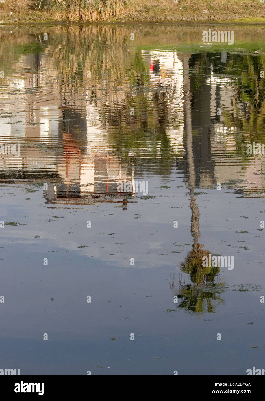 Water reflection of home in Del Rey Lagoon Park in Playa Del Rey ...
