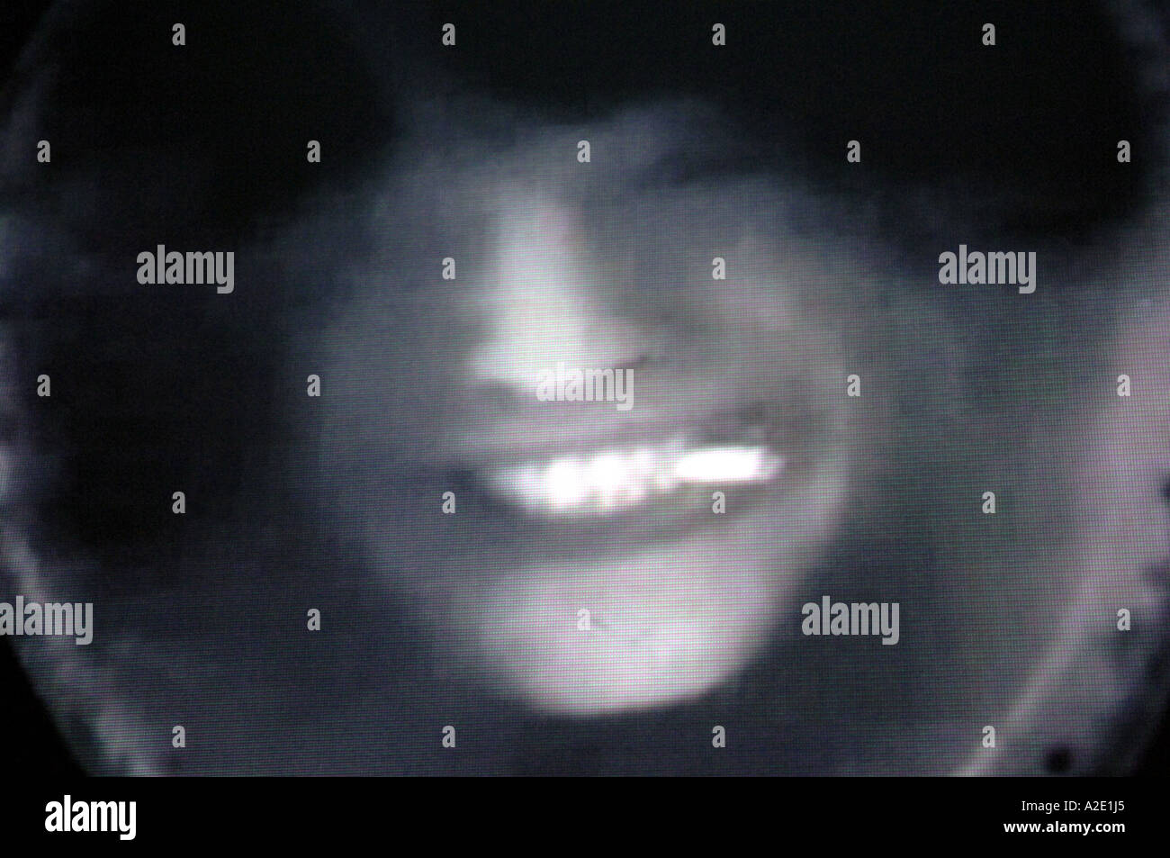 Jackie Boy Benicio Del Toro dirty cop violence police rafferty jack ...