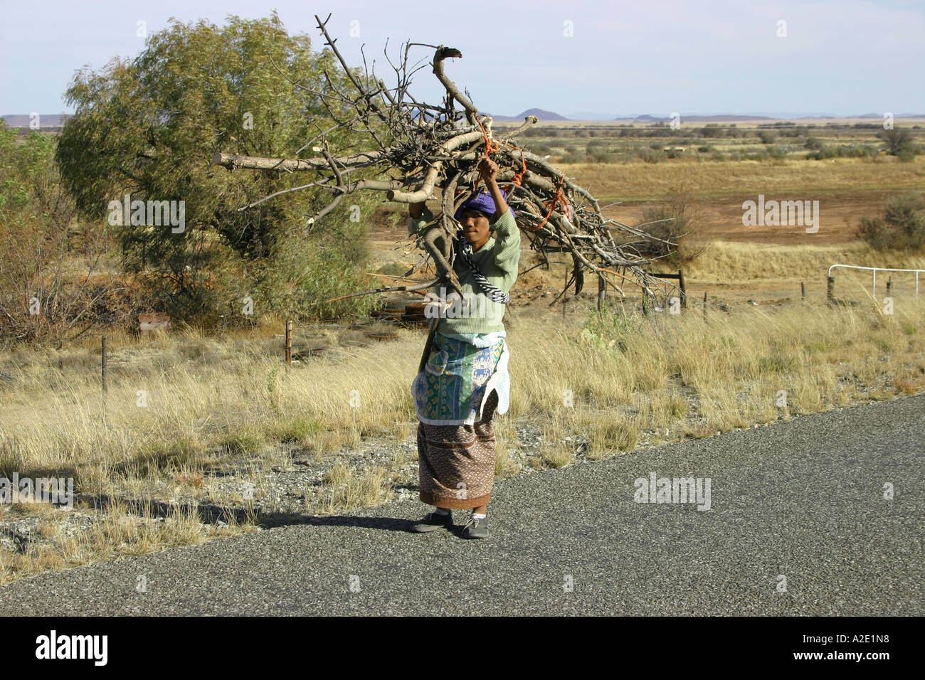 Collecting fire wood South Africa Stock Photo - Alamy