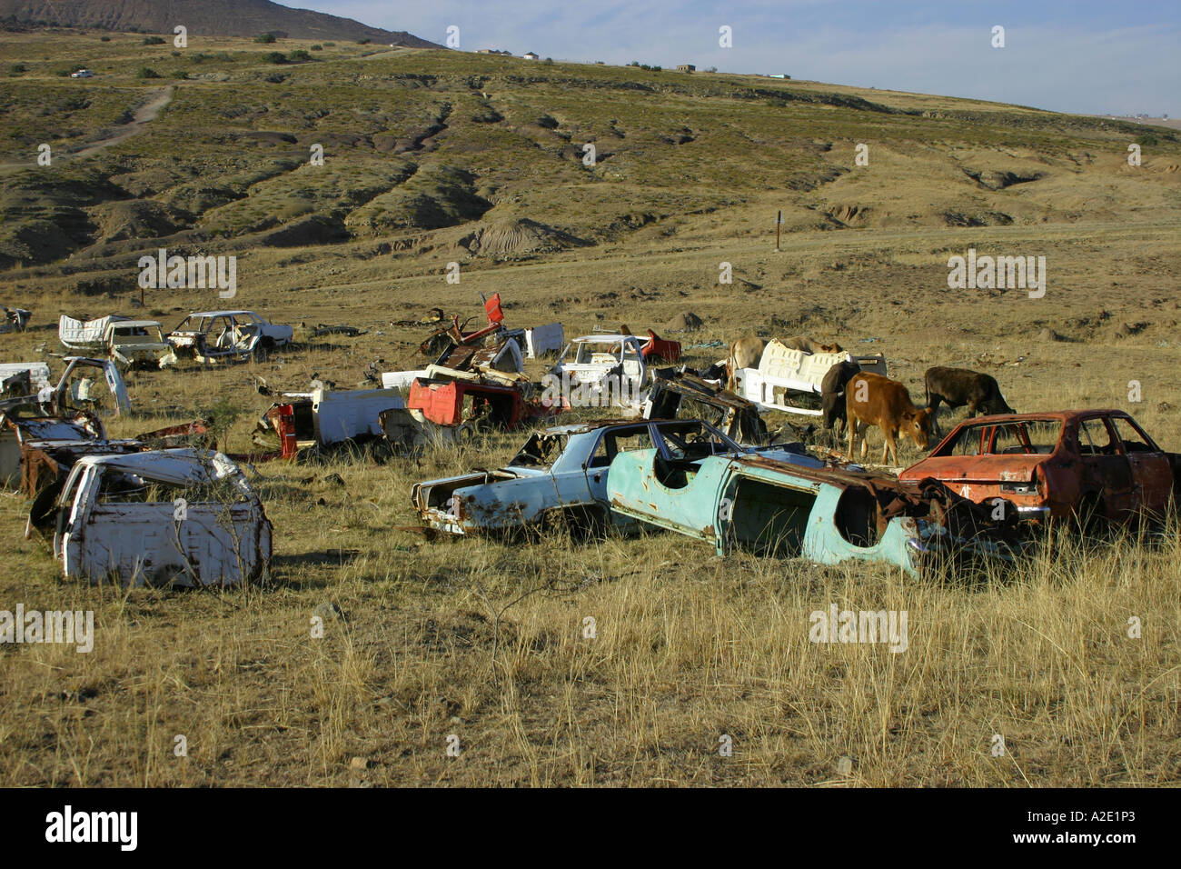 Scraped Cars High Resolution Stock Photography and Images - Alamy
