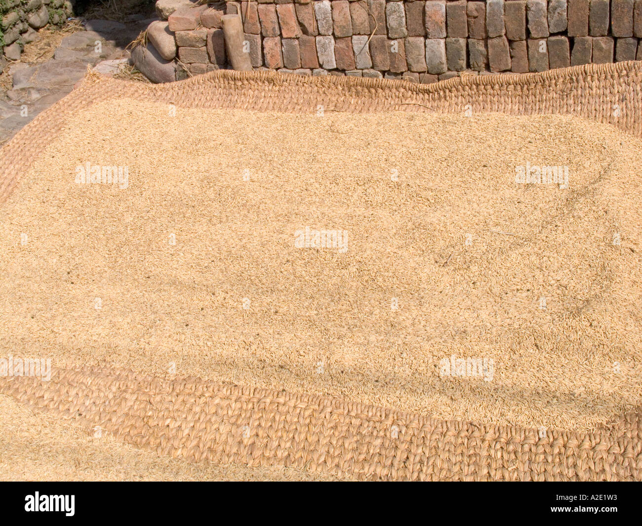 Drying Out Rice High Resolution Stock Photography and Images - Alamy