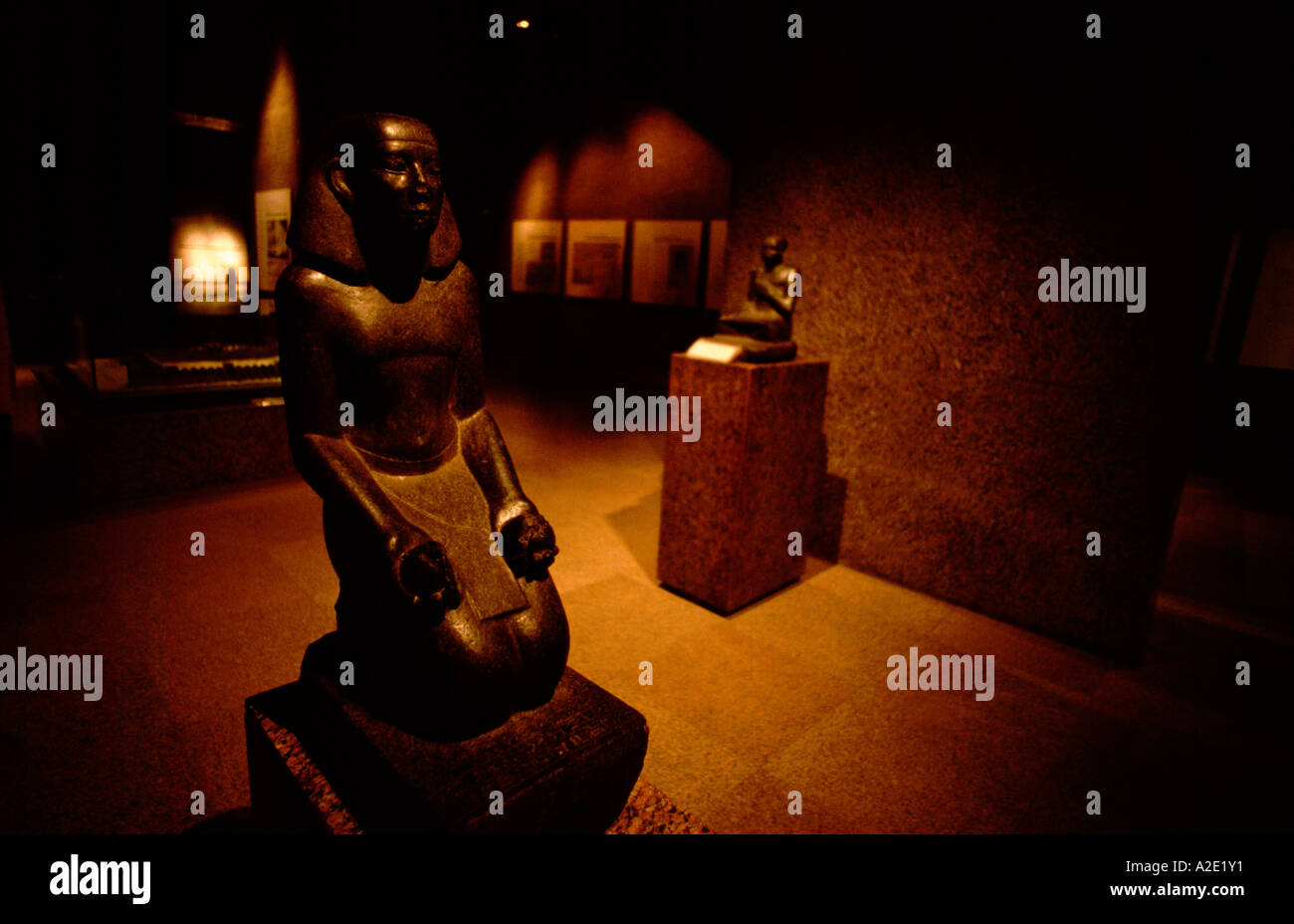 Africa, Egypt, Aswan, Nubian Museum, Black stone statues dedicated to ...