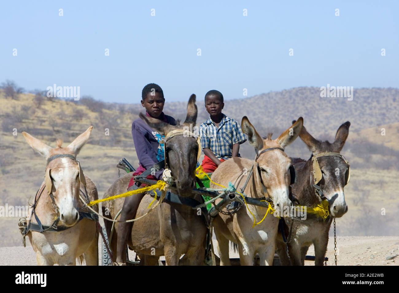 Donkey Cart Namibia Africa Stock Photos & Donkey Cart Namibia Africa ...