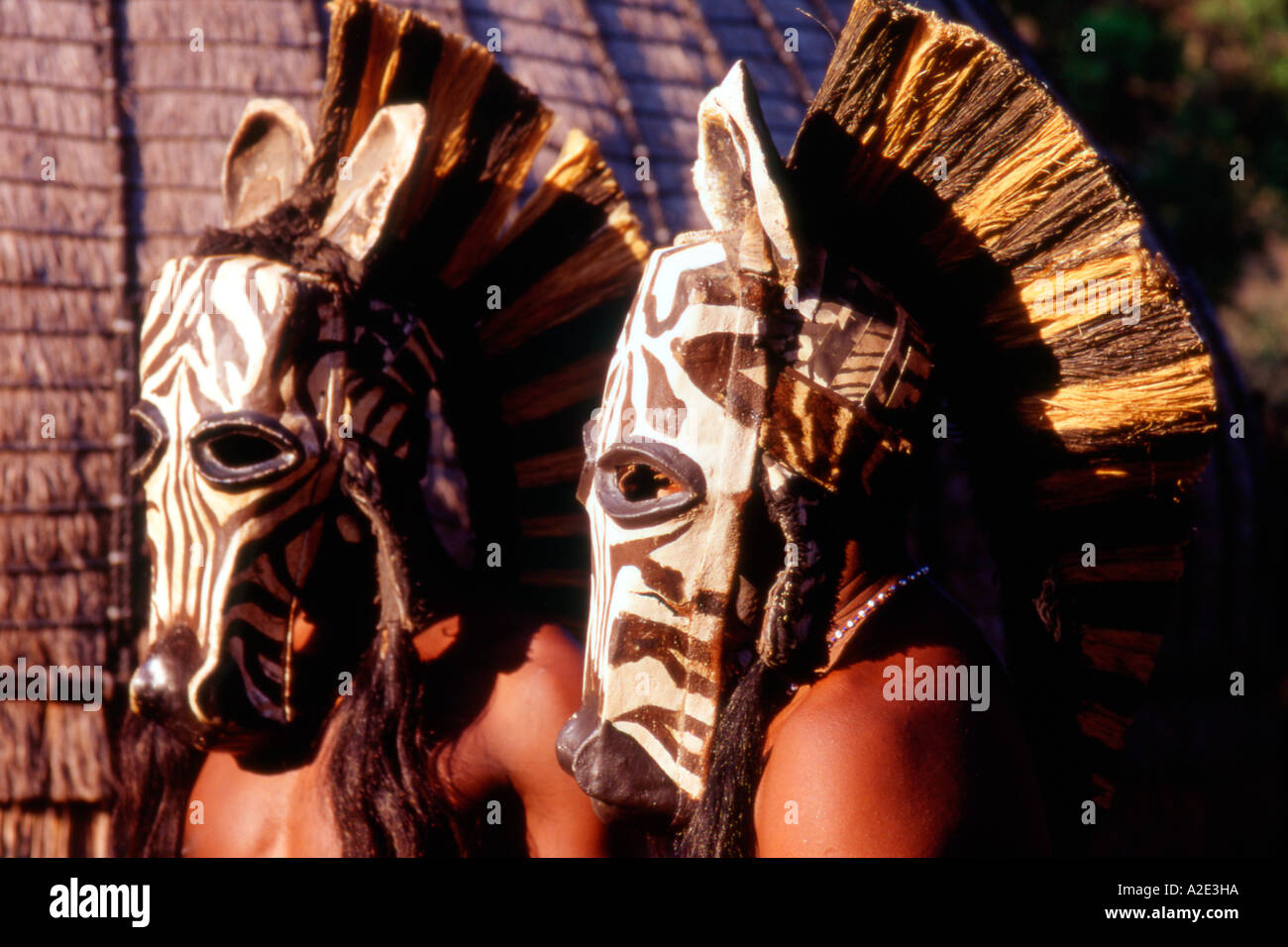 South Africa, KwaZulu-Natal. Two Zulu Zebra masked dancers, portrait ...