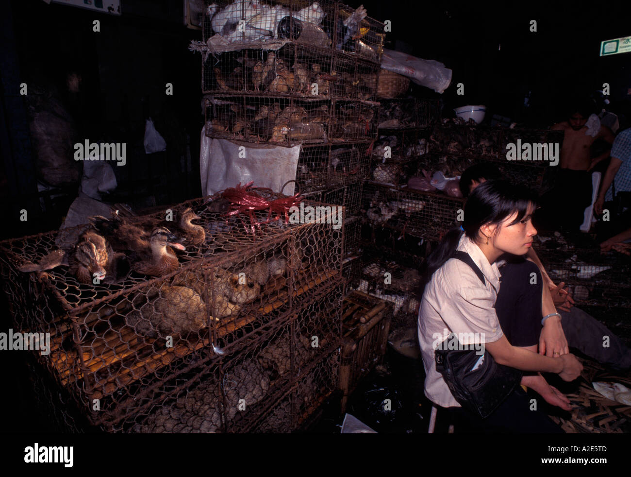 Canton's famous Qing Ping Market, a virtual take-away zoo of animals ...