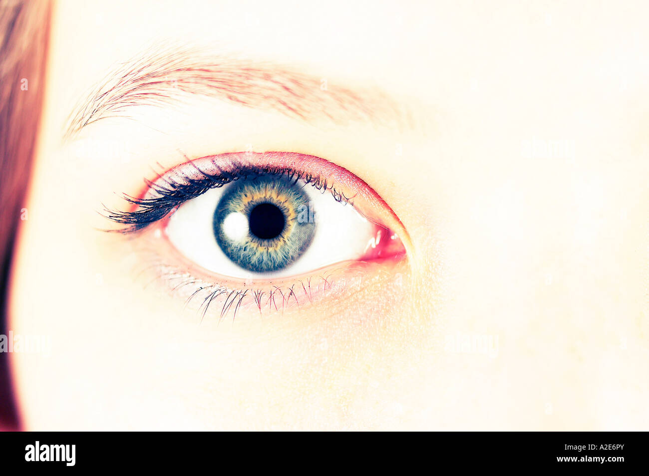 Close up of girl's eye Stock Photo - Alamy