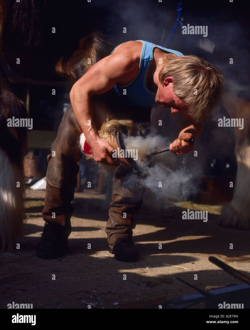 Farrier chaps hi-res stock photography and images - Alamy