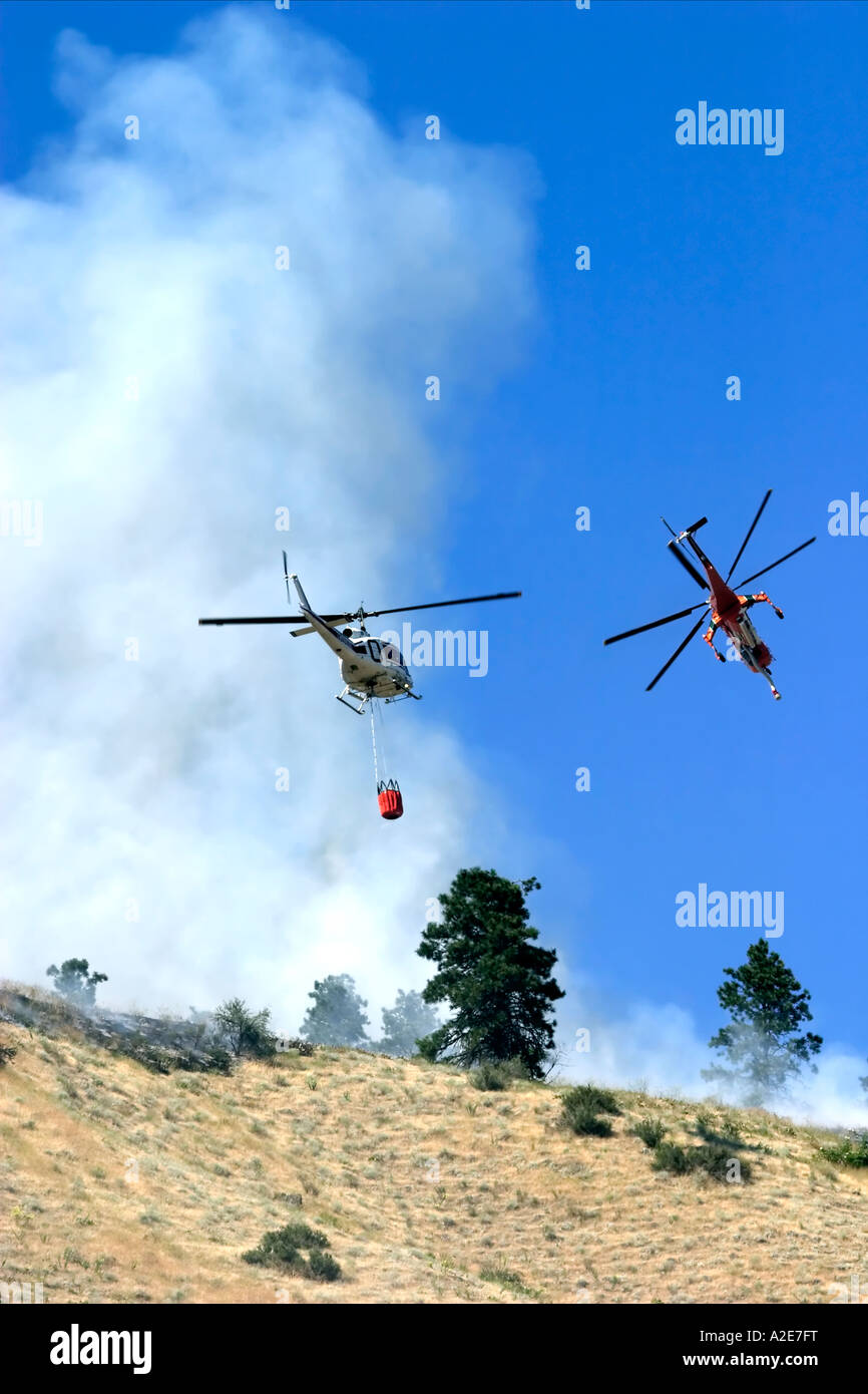 Two helicopters fighting a forest fire Stock Photo - Alamy
