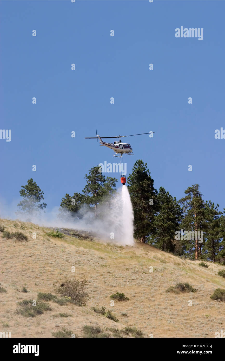 Helicopter dropping water at a forest fire Stock Photo - Alamy