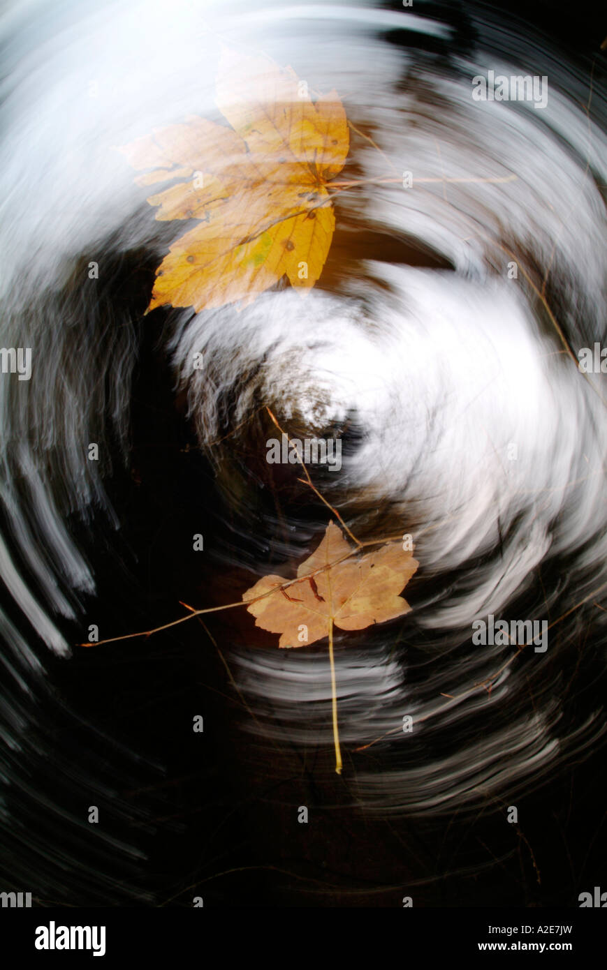 Tumbling Leaves High Resolution Stock Photography and Images - Alamy