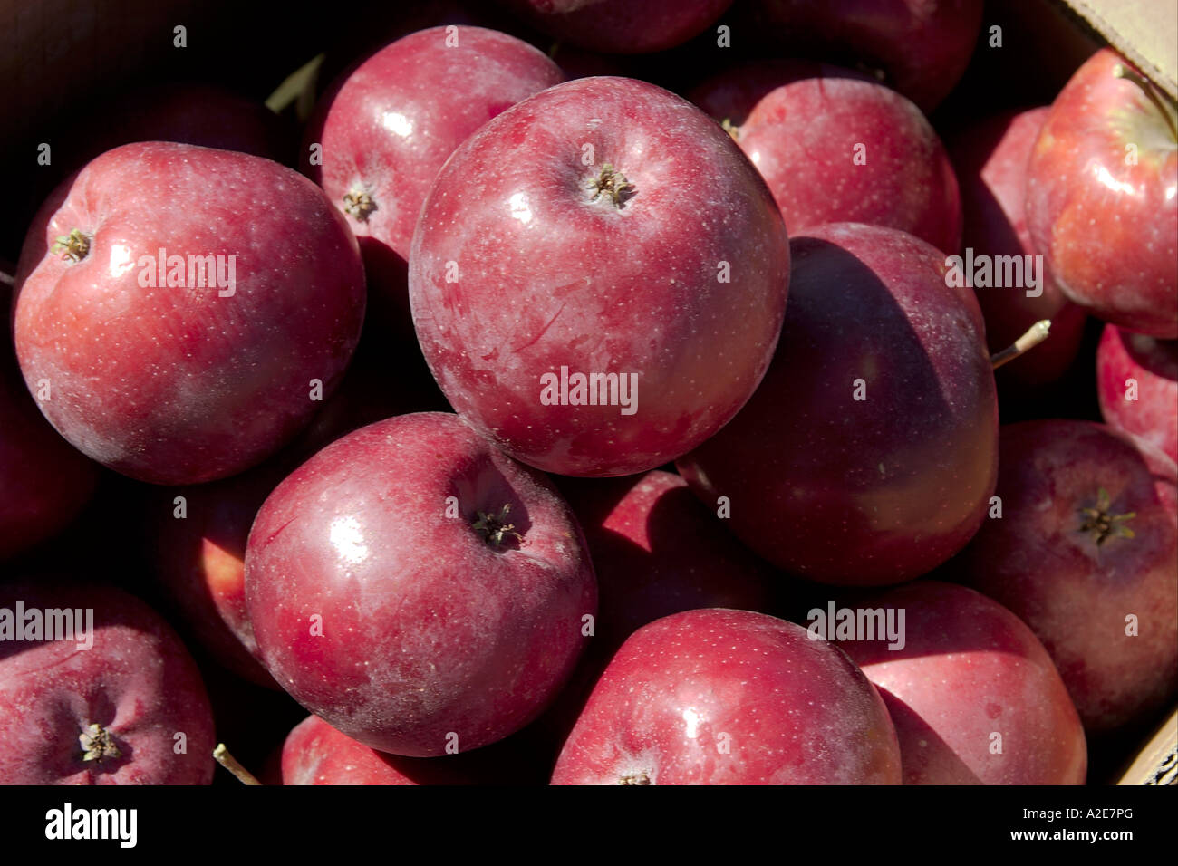 Rome beauty apples hi-res stock photography and images - Alamy