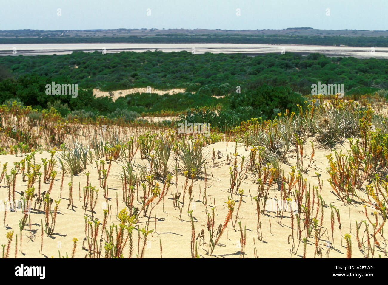 Typical dune and salt lake scenery at Discovery Bay Coastal Park west ...