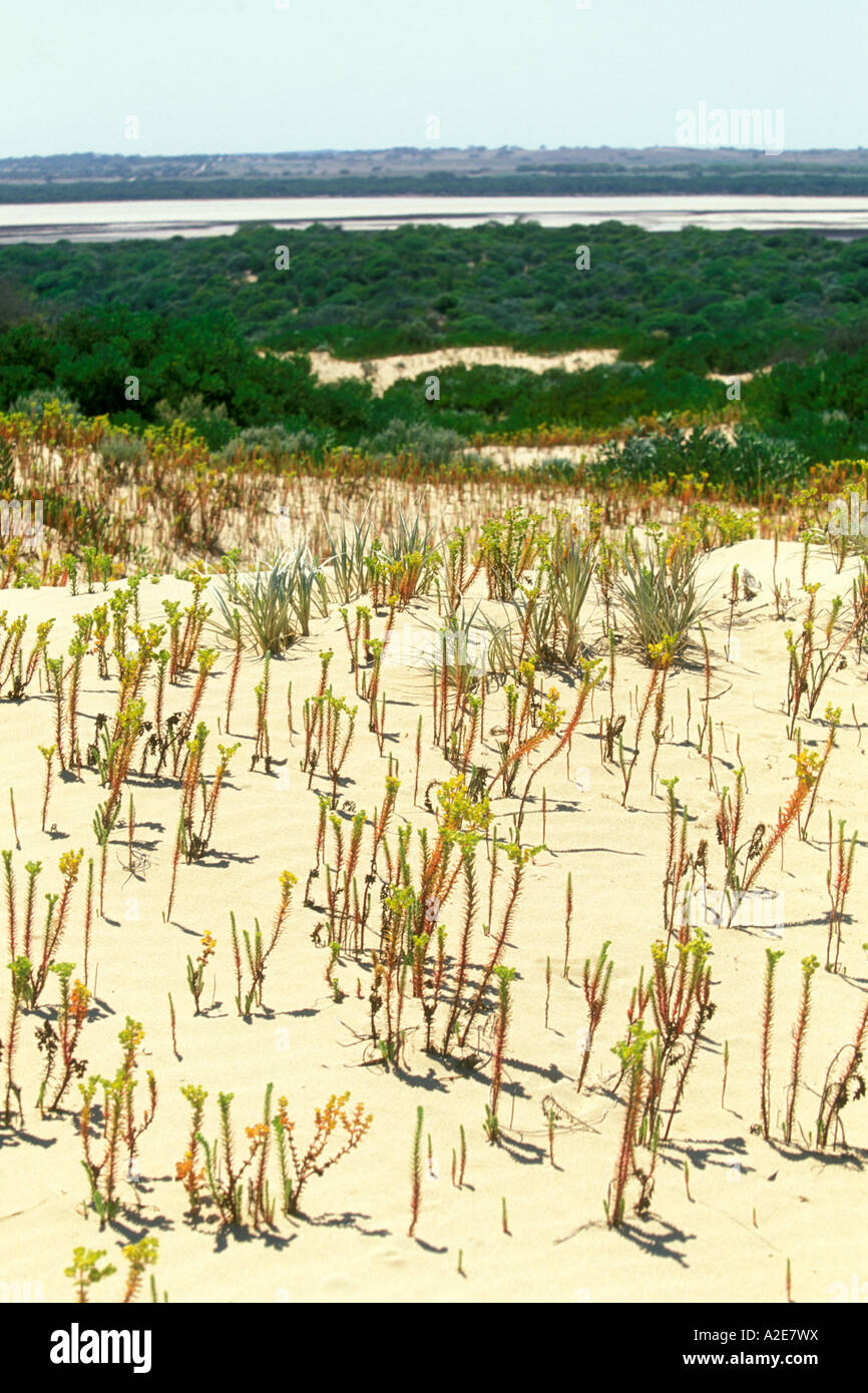 Discovery bay coastal park hi-res stock photography and images - Alamy