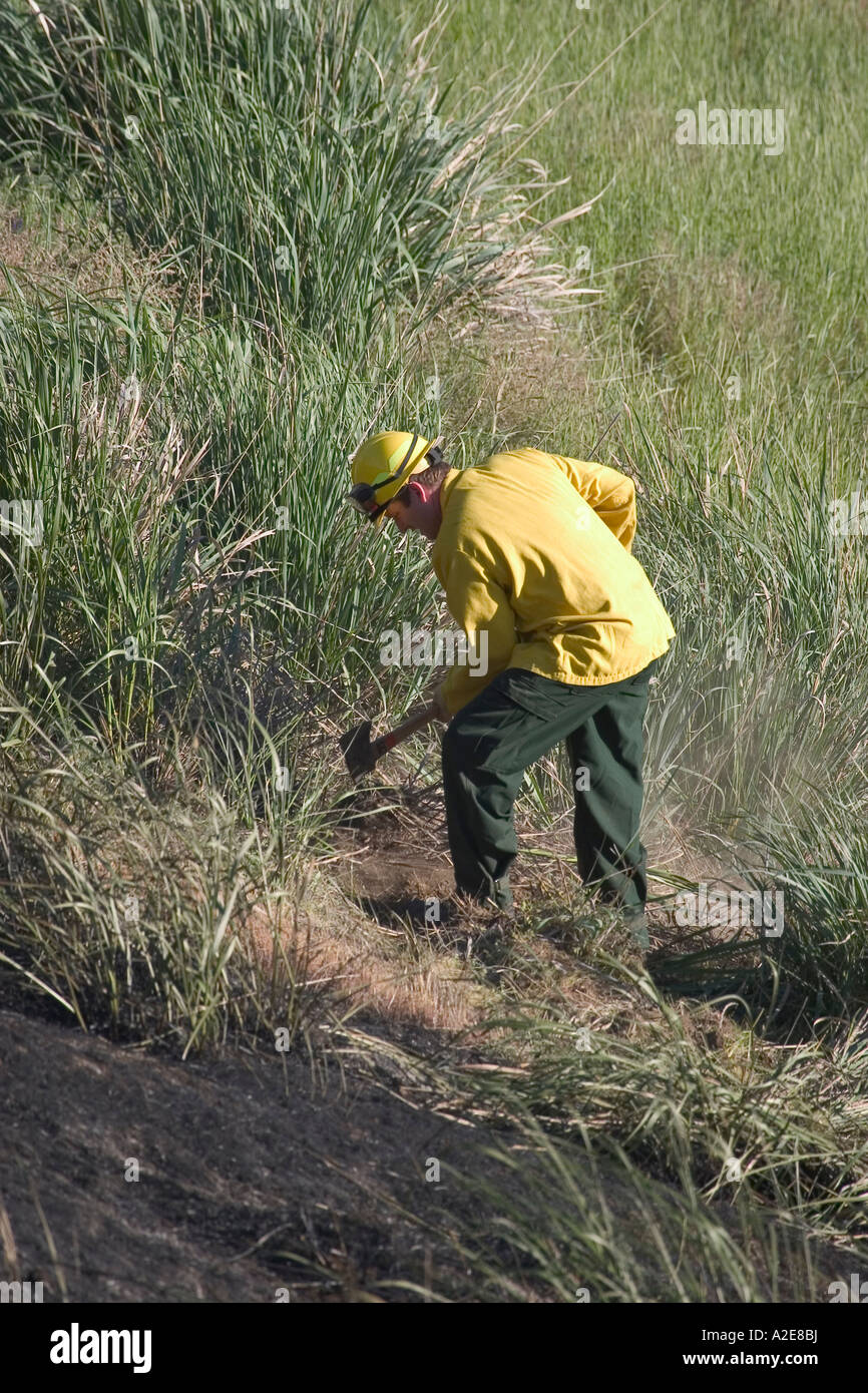 Fireman digging a trench at a brush fire Stock Photo - Alamy
