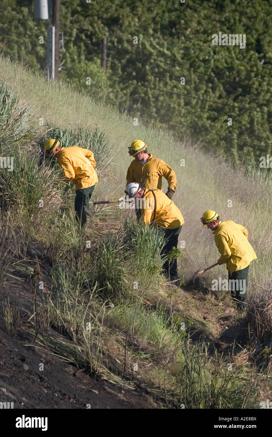 Firemen digging a trench at a brush fire Stock Photo - Alamy
