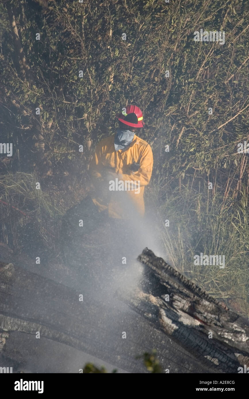 Fireman spraying water on a brush fire Stock Photo - Alamy