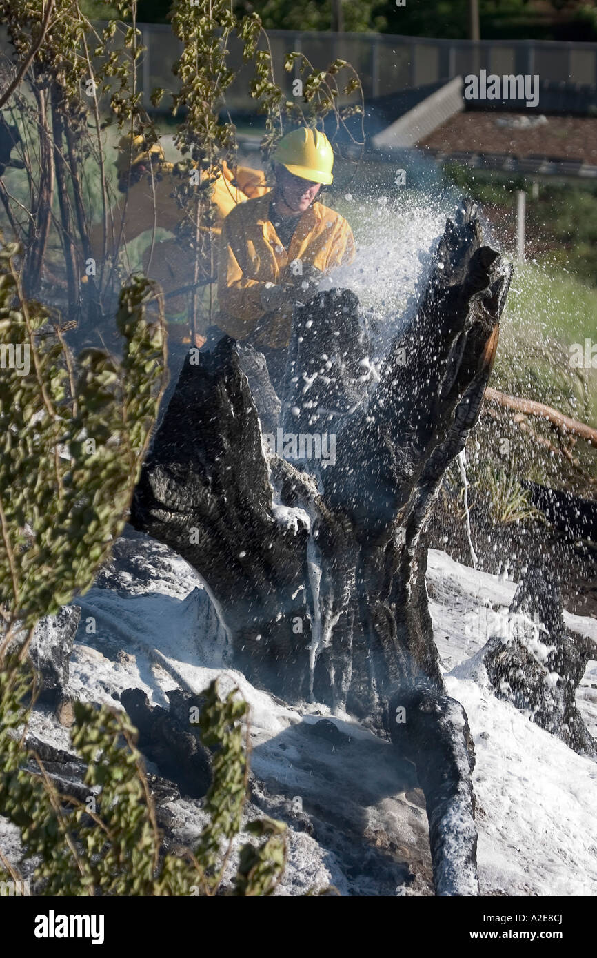 Using fire fighting hose hi-res stock photography and images - Alamy