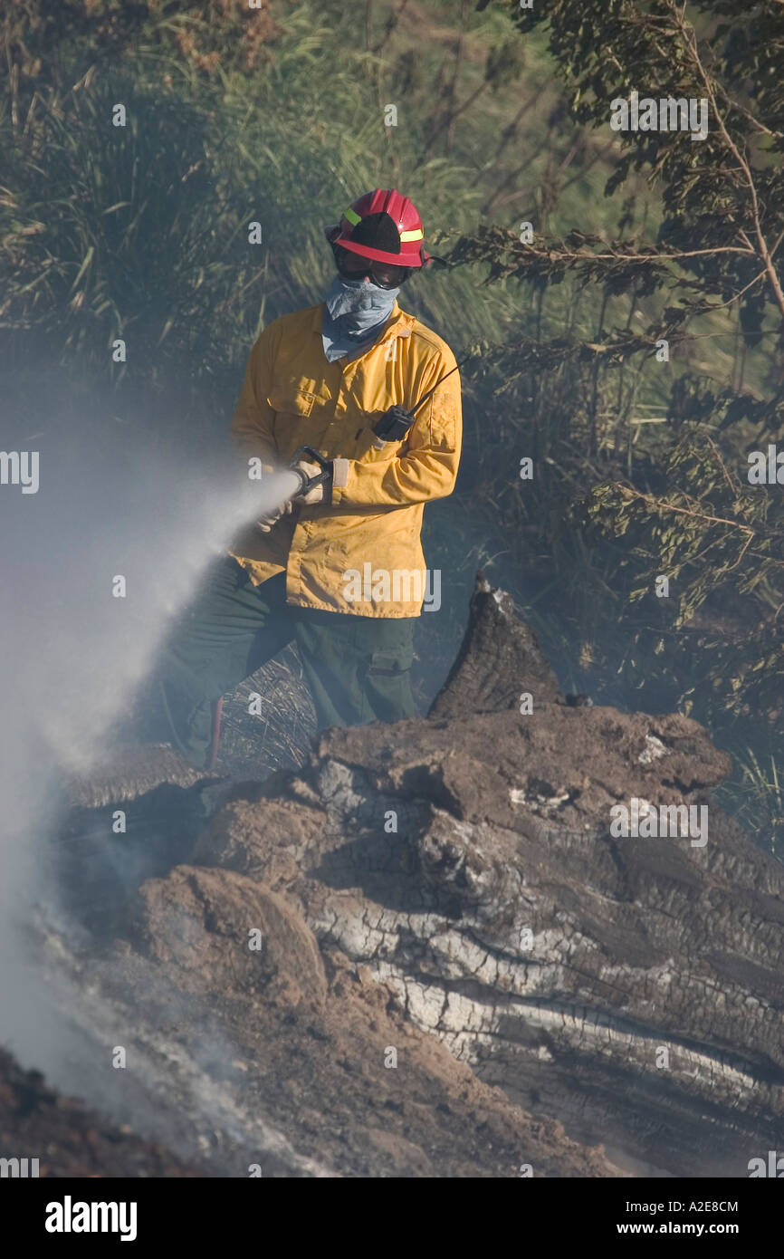 Fireman spraying water on a brush fire Stock Photo - Alamy