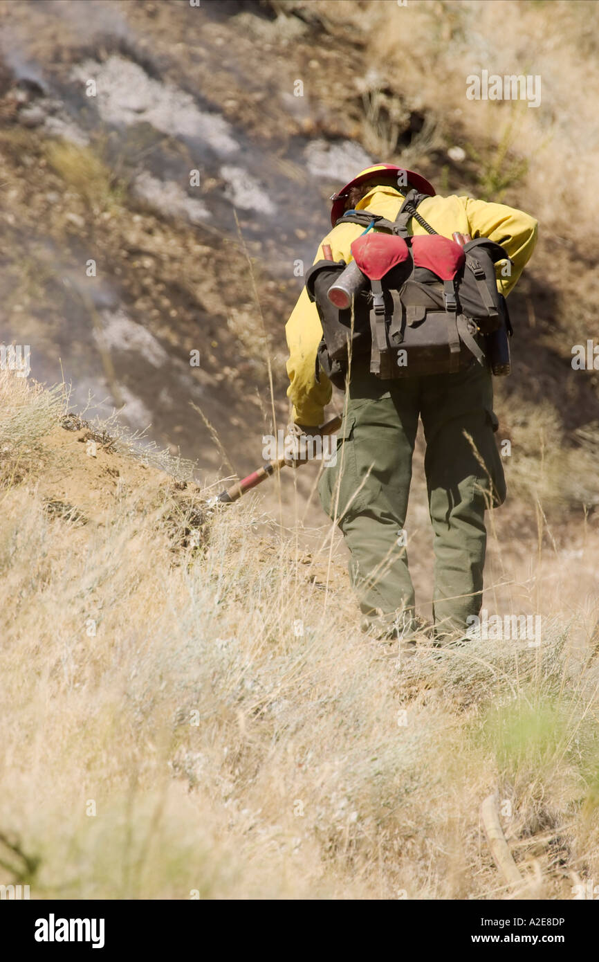 Fireman at a wildland fire building a fire line Stock Photo - Alamy