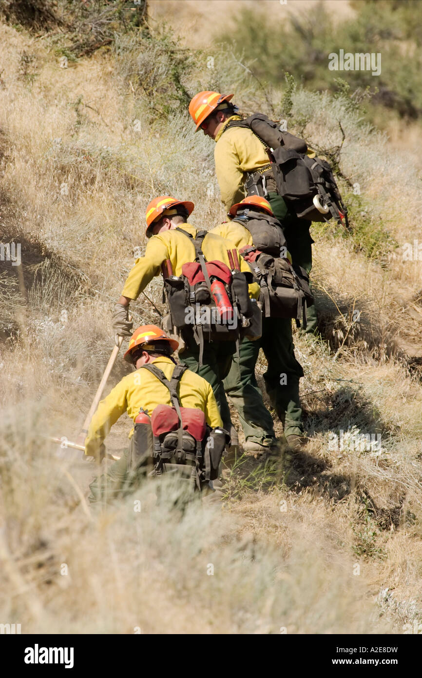 Firemen at a wildland fire building a fire line Stock Photo - Alamy
