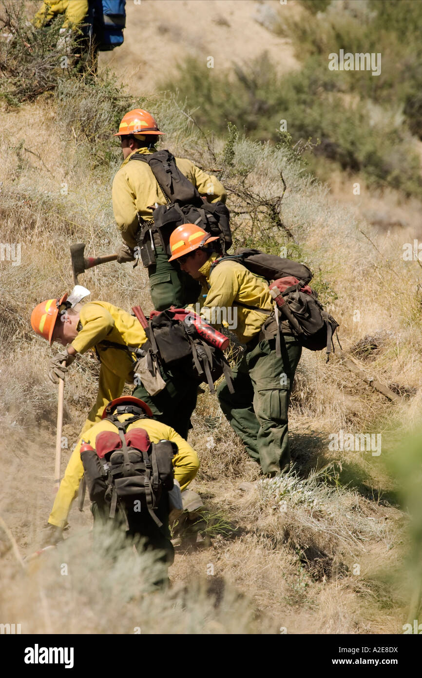 Firemen at a wildland fire building a fire line Stock Photo - Alamy