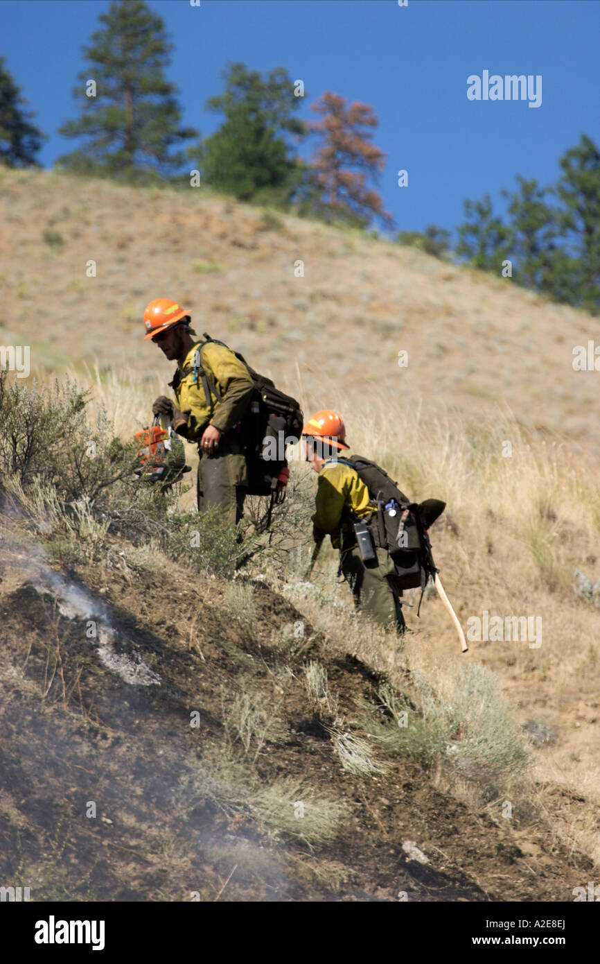 Firemen at a wildland fire building a fire line Stock Photo - Alamy